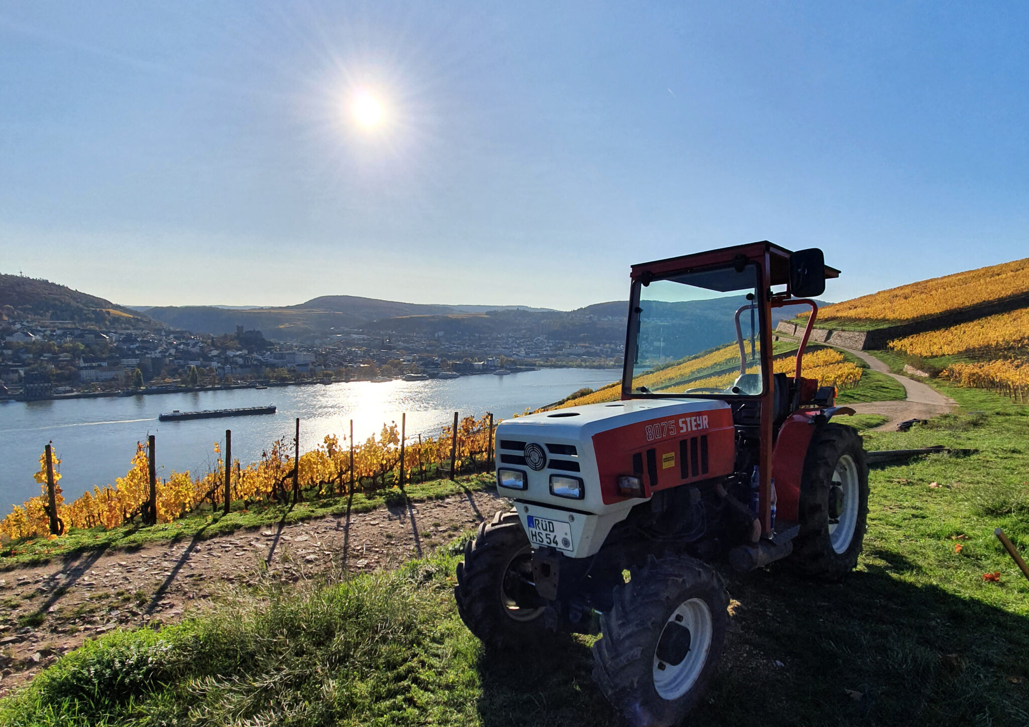Home - Weingut Heinz Störzel